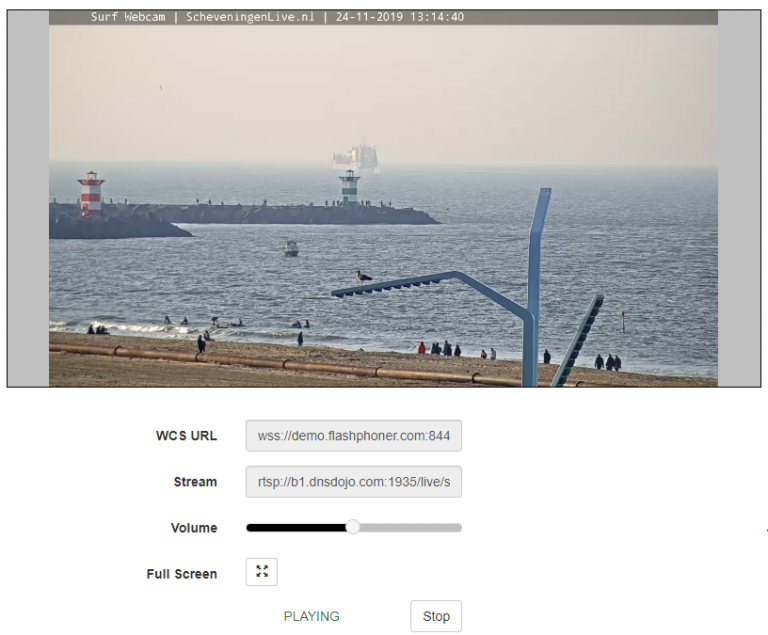 HTML5-RTSP плеер | Flashphoner Streaming & Calls for Web